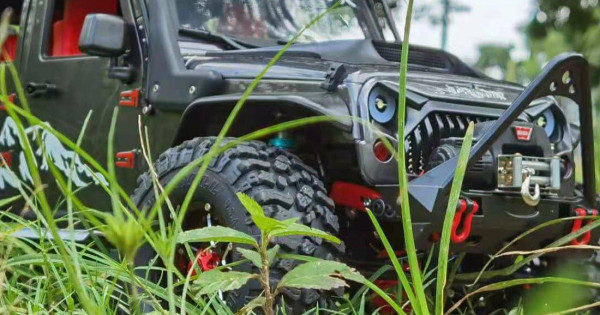 RC Brushless Motor Guide: What You Need To Know